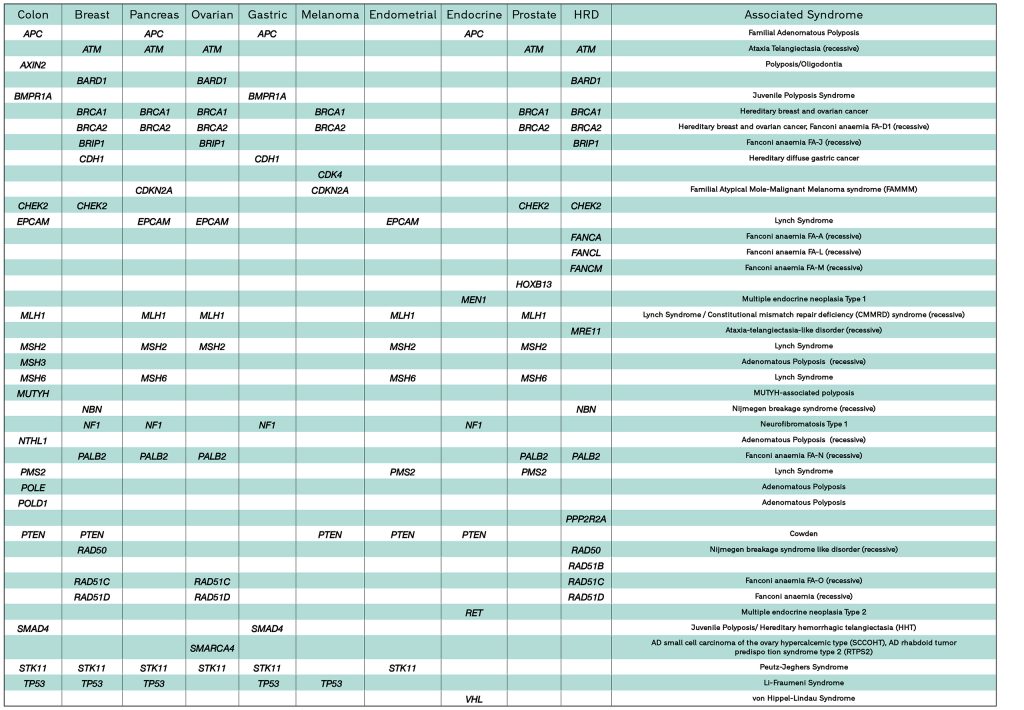 Table of genes that HerediGENE Gene Panel Assay analysizes